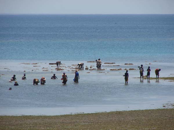 DSC06631 Pemba Wimbe shoreline by Peter Bennett